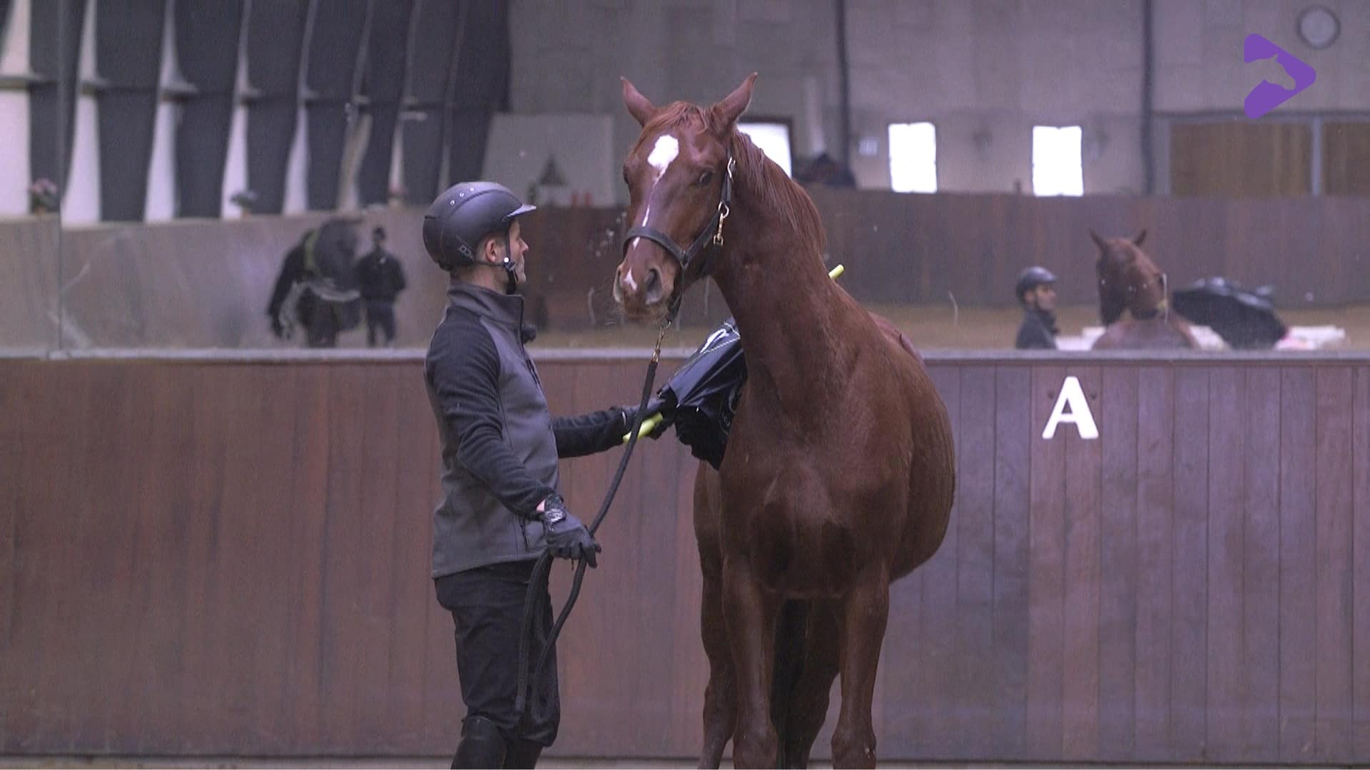 The unbroken horse - Ride Better TV