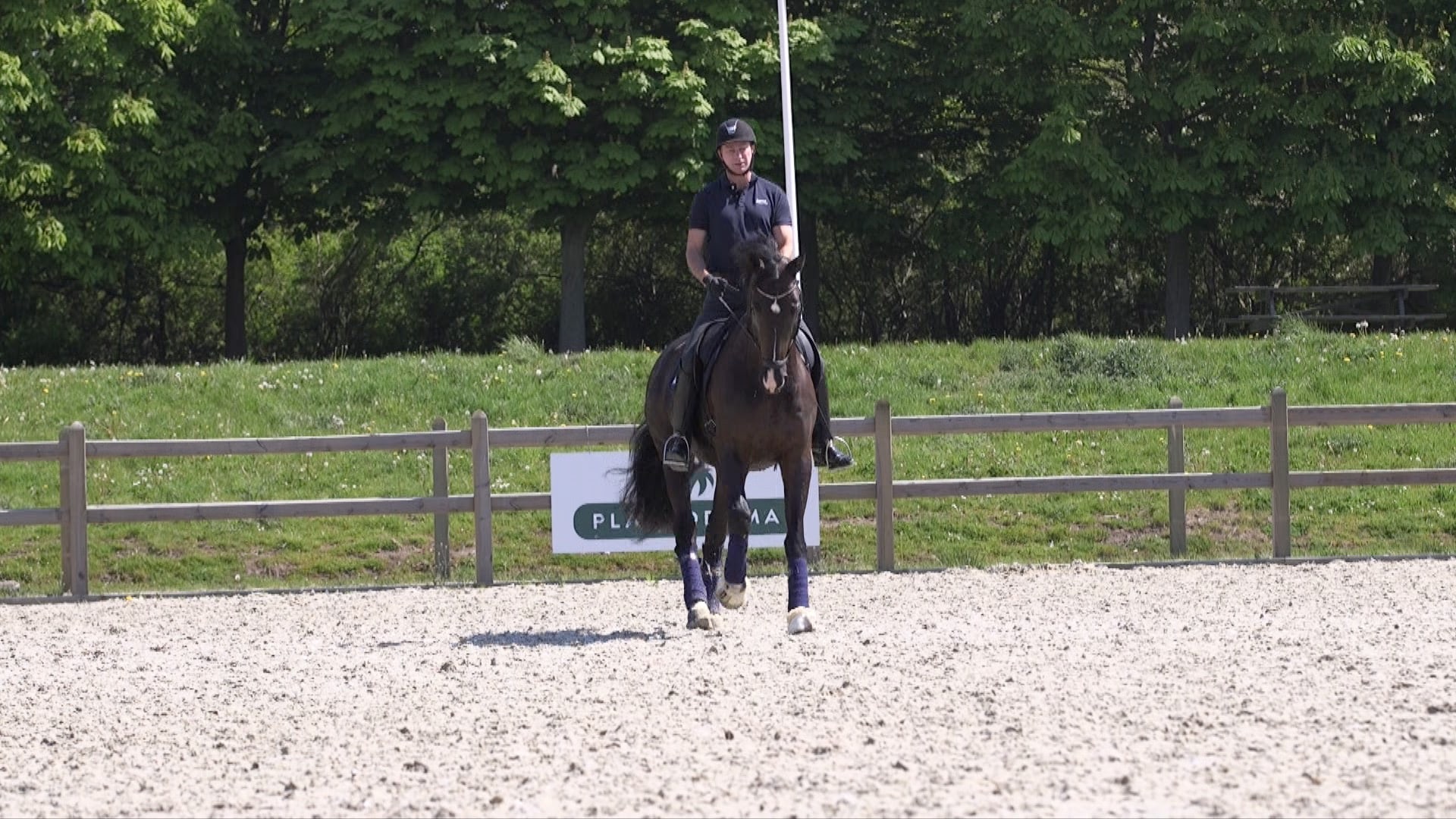 Two tracks in canter - Ride Better TV