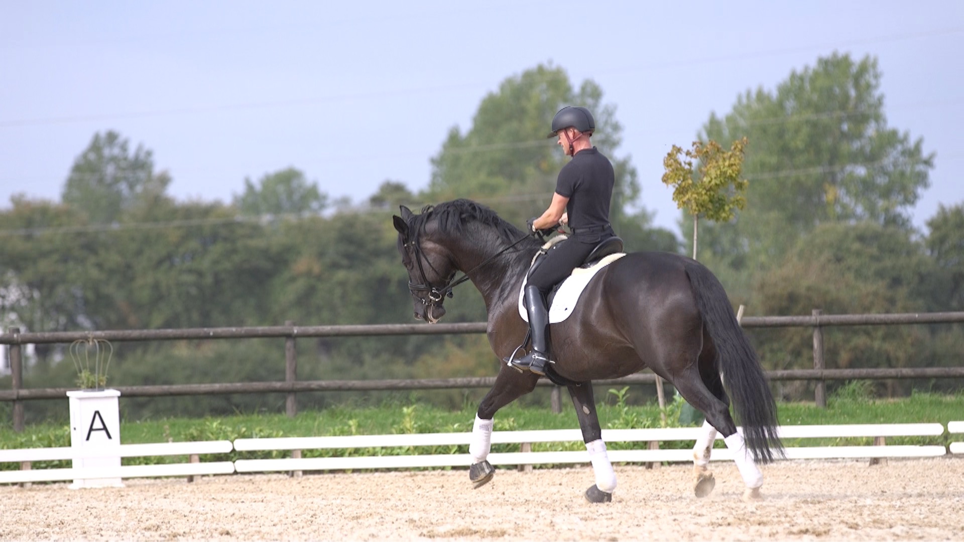 The rider’s position – circles and bends - Ride Better TV