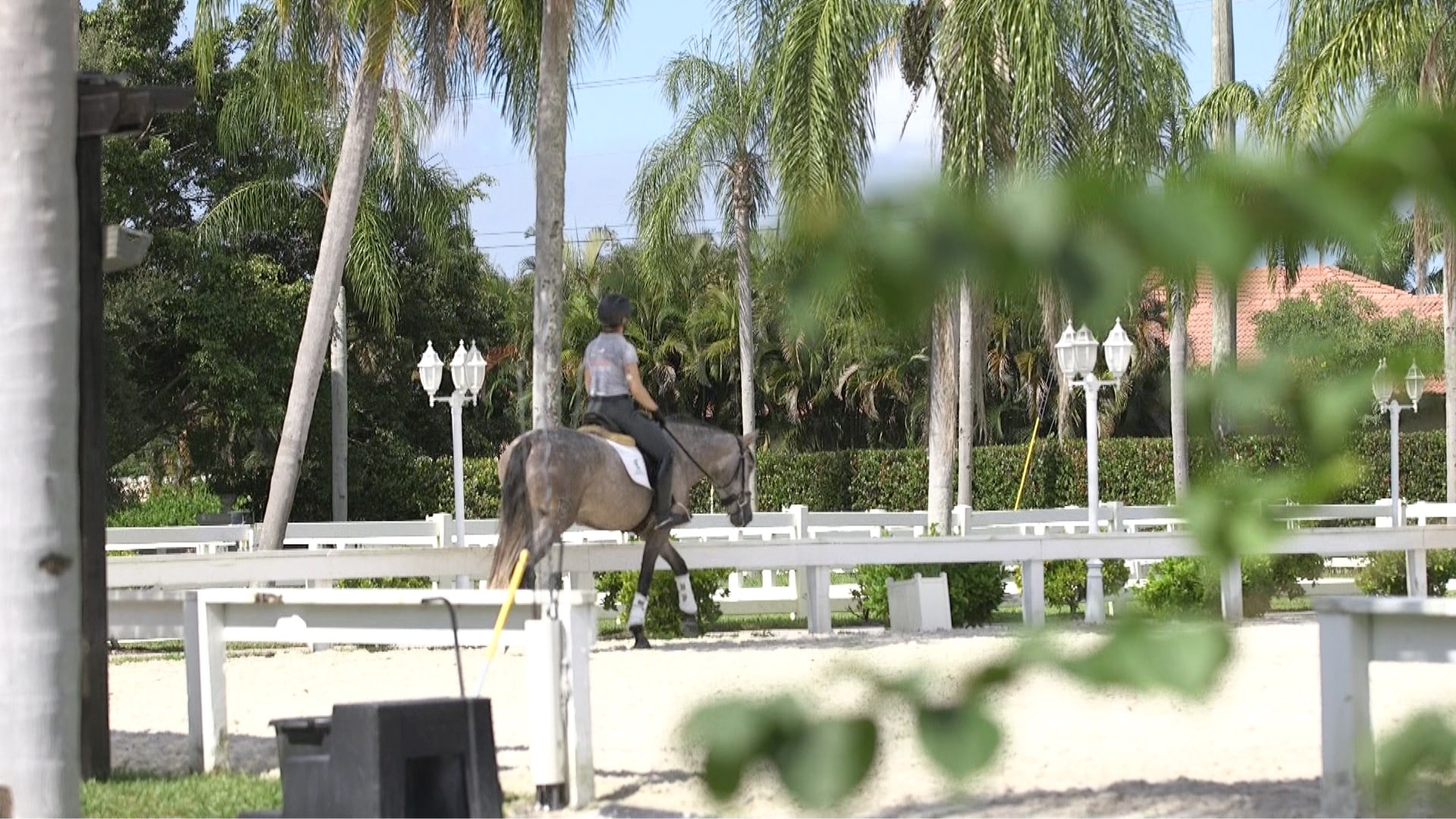 Equestrian life in Wellington - part III - Ride Better TV