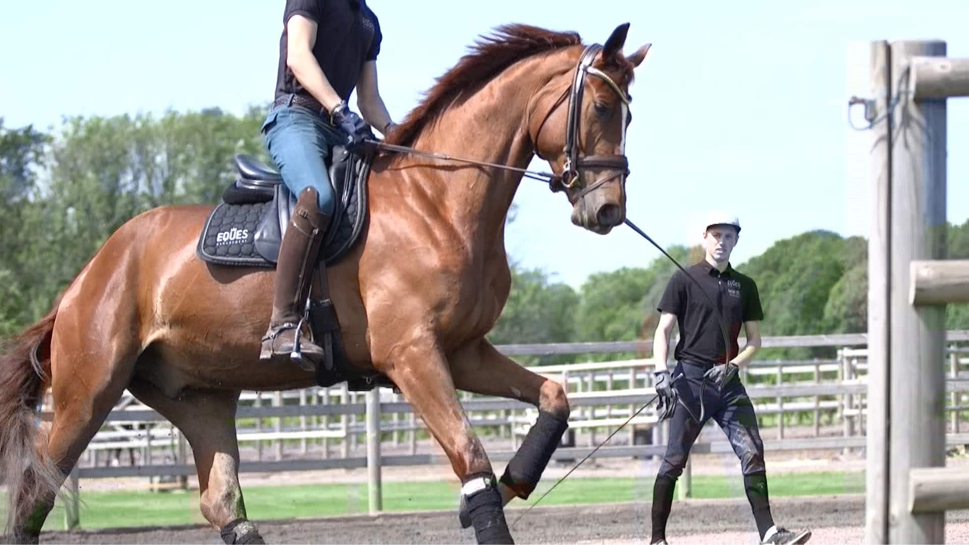 Carl Hedin - riding in the round pen - Ride Better TV