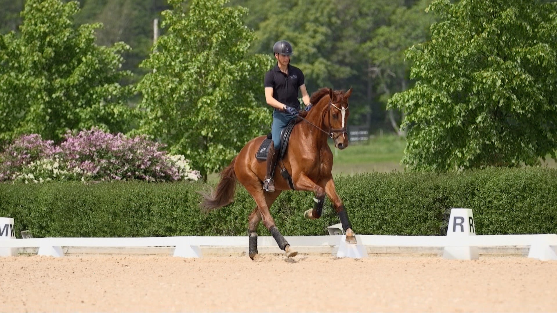 Carl Hedin - extended canter - Ride Better TV