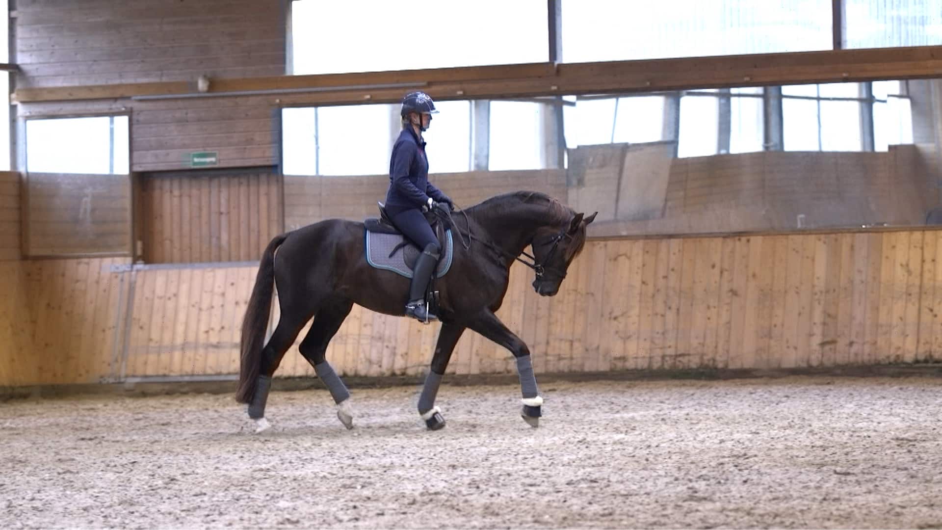Nathalie - the small trot - Ride Better TV