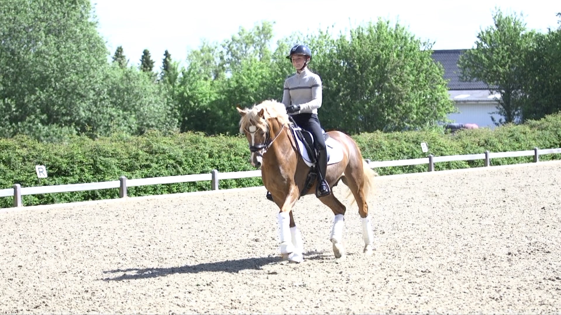 Dressage pony test - Individual - Ride Better TV