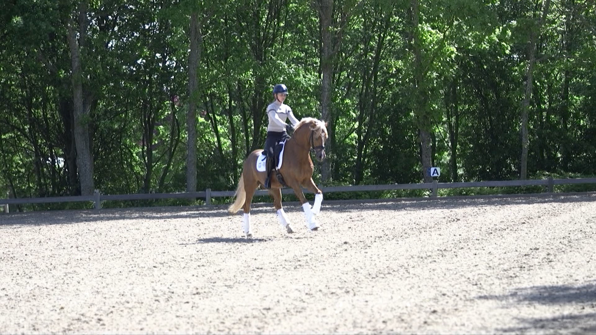 Dressage pony test - Team Competition - Ride Better TV