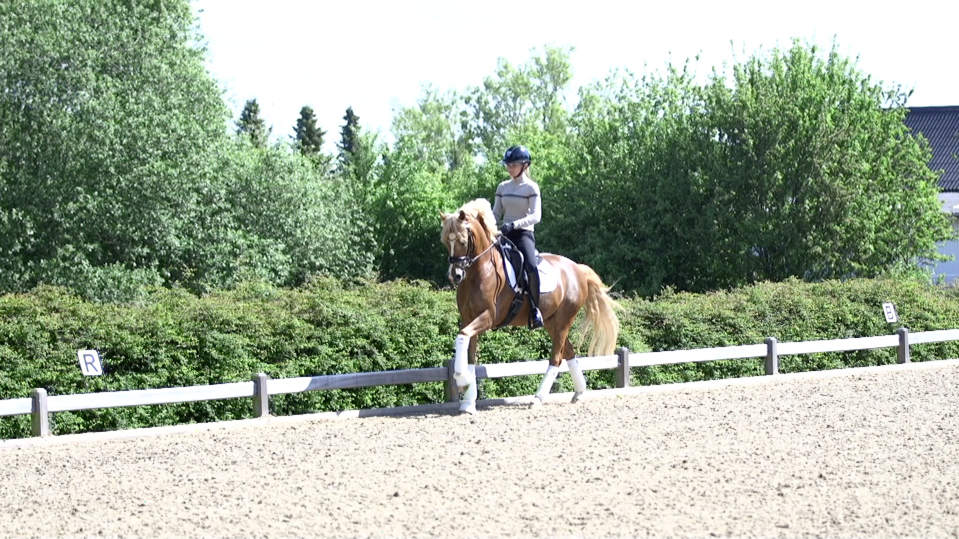 Dressage test pony riders - preliminary - Ride Better TV