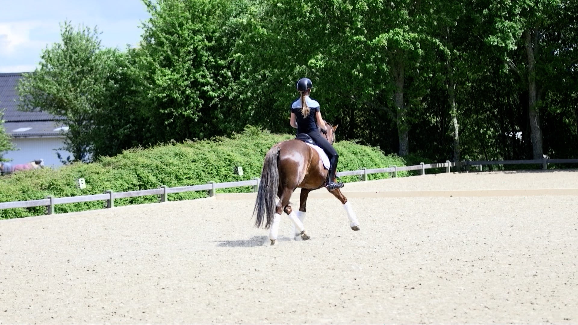 Pony test - LA2 B elementary - Ride Better TV