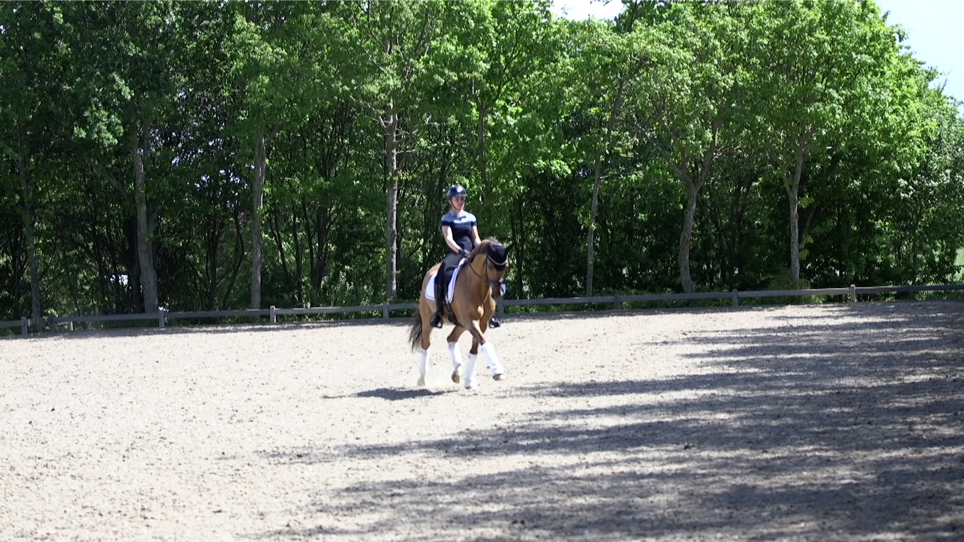 Pony test - LA6 elementary - Ride Better TV