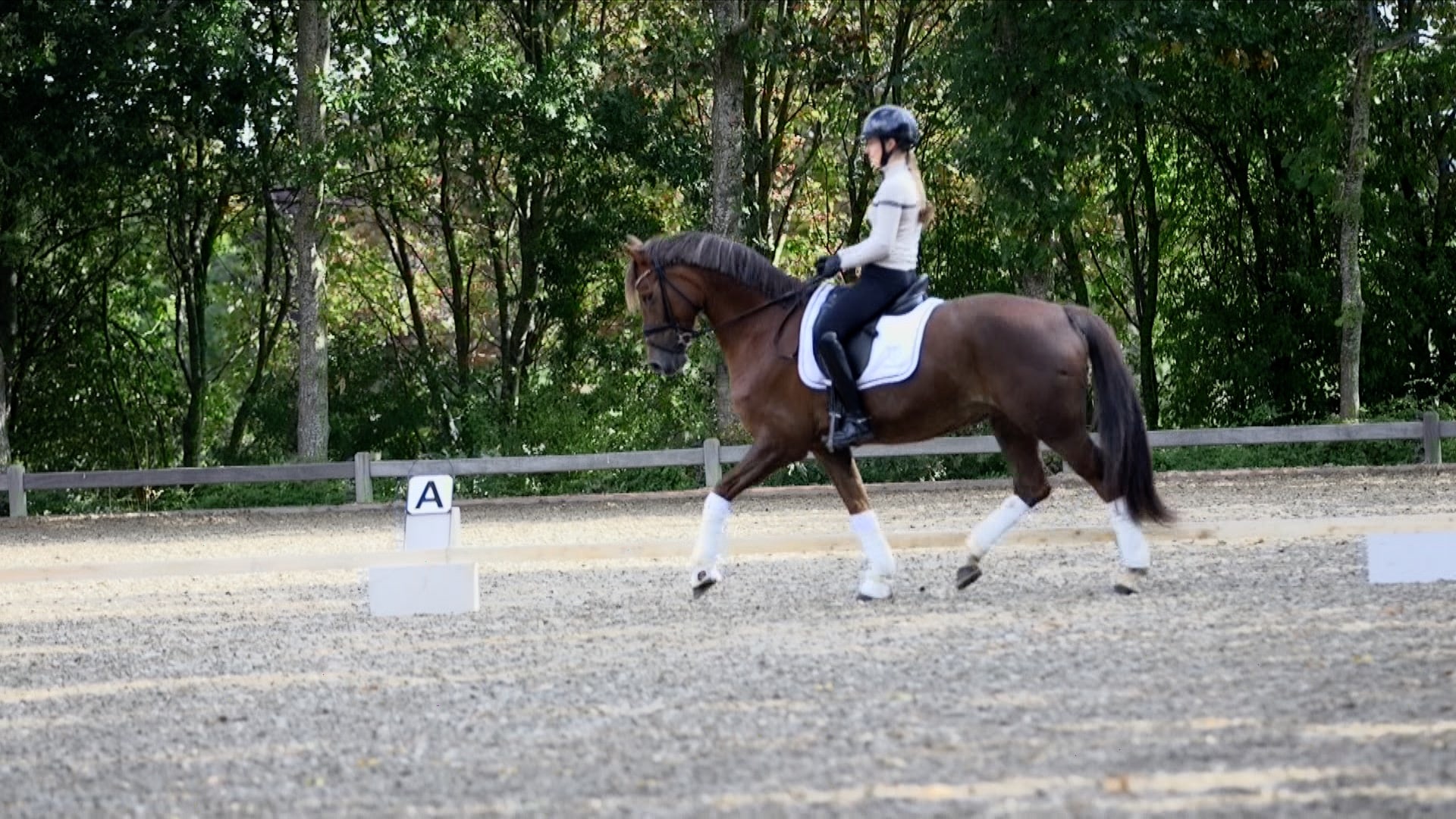 Pony test - LC1 novice - Ride Better TV