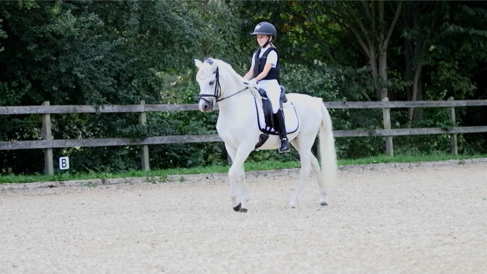 Pony tests - LD1 novice - Ride Better TV