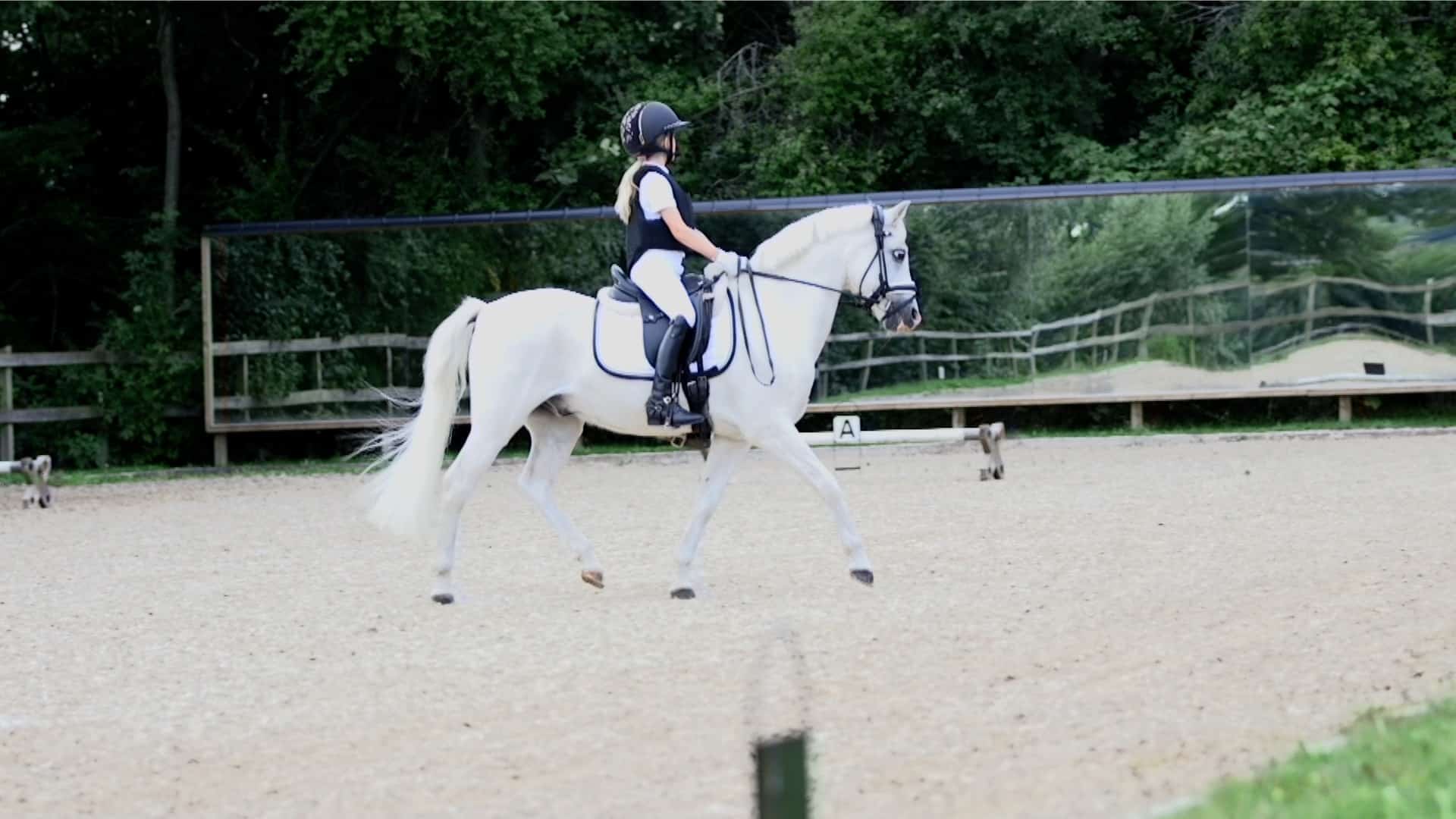 Pony test - LD2 novice - Ride Better TV