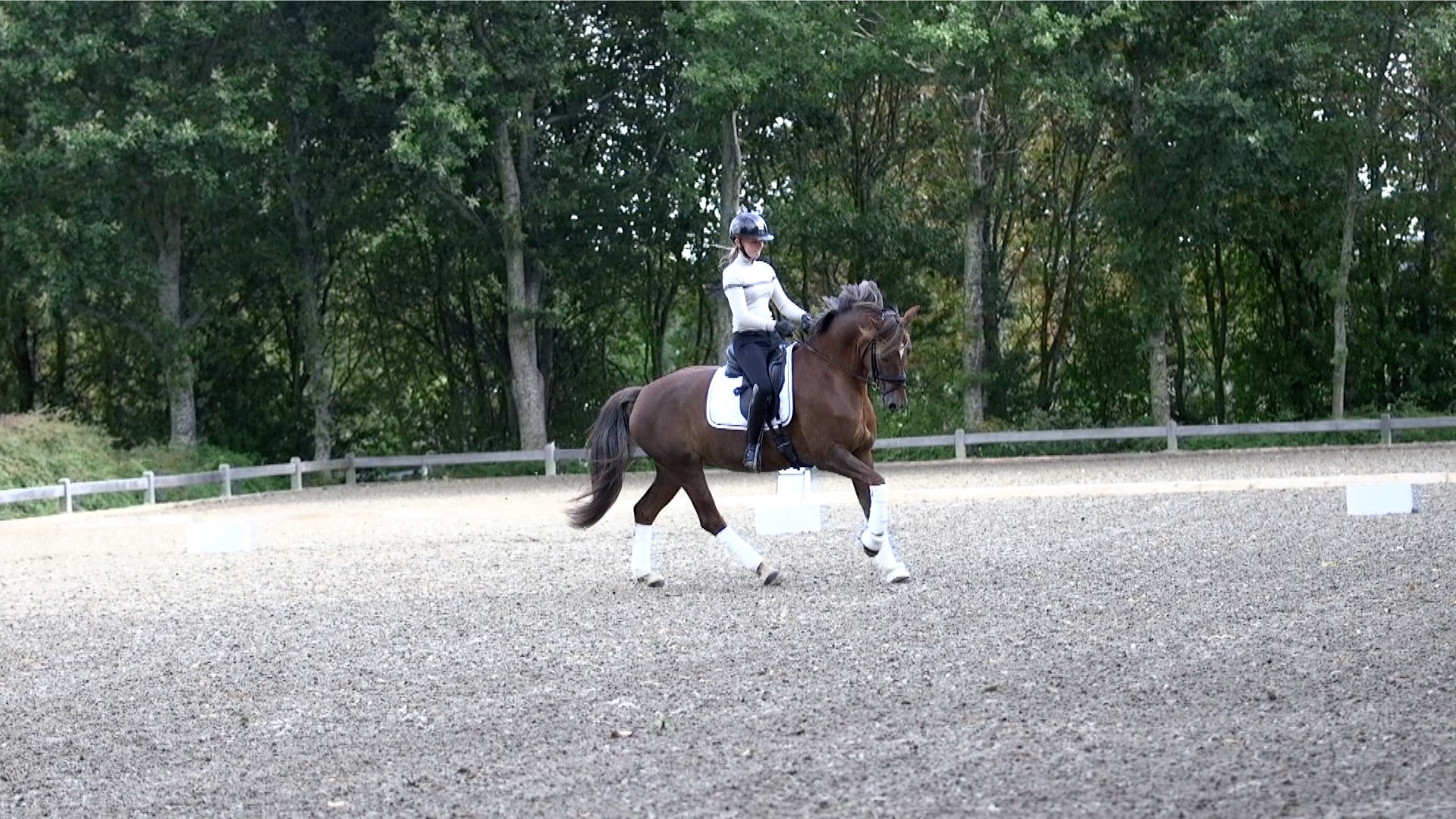 Pony test - LC2 novice - Ride Better TV