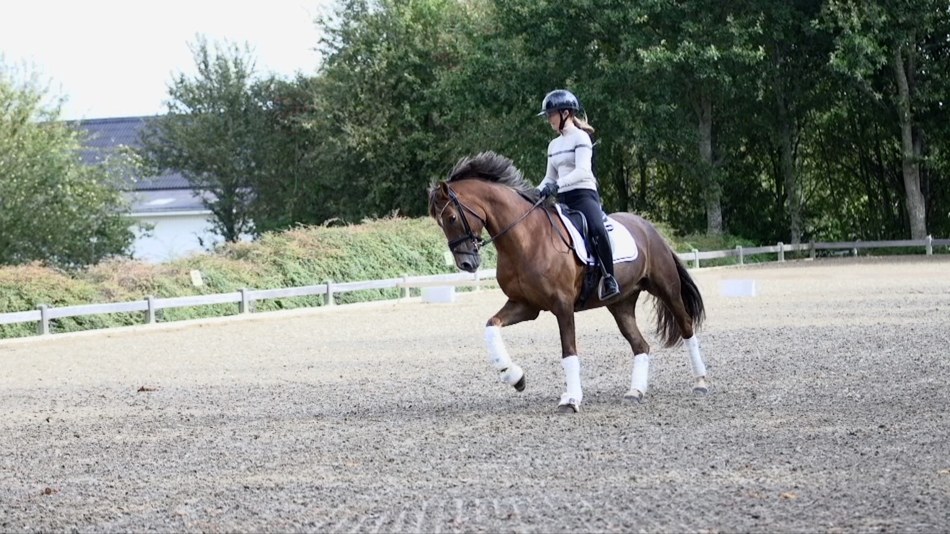 Pony test - LC3 novice - Ride Better TV