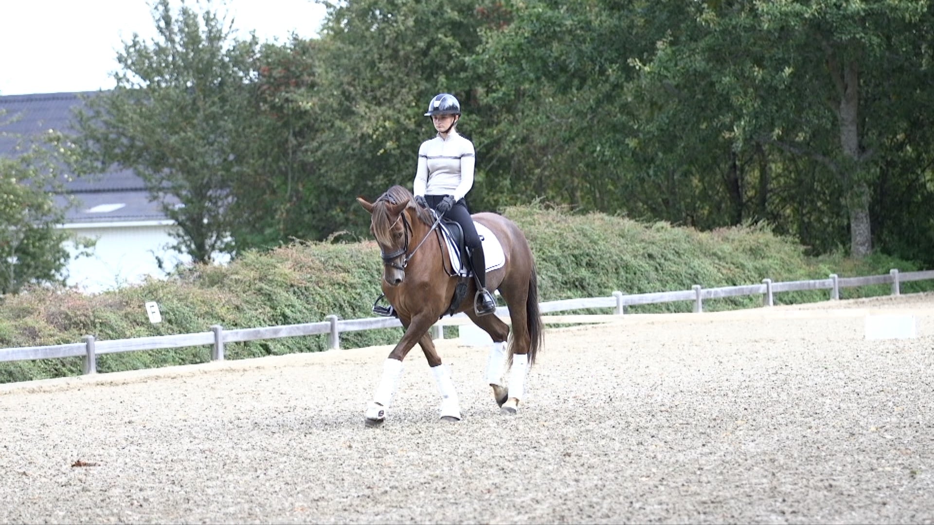 Pony test LB1 - Ride Better TV