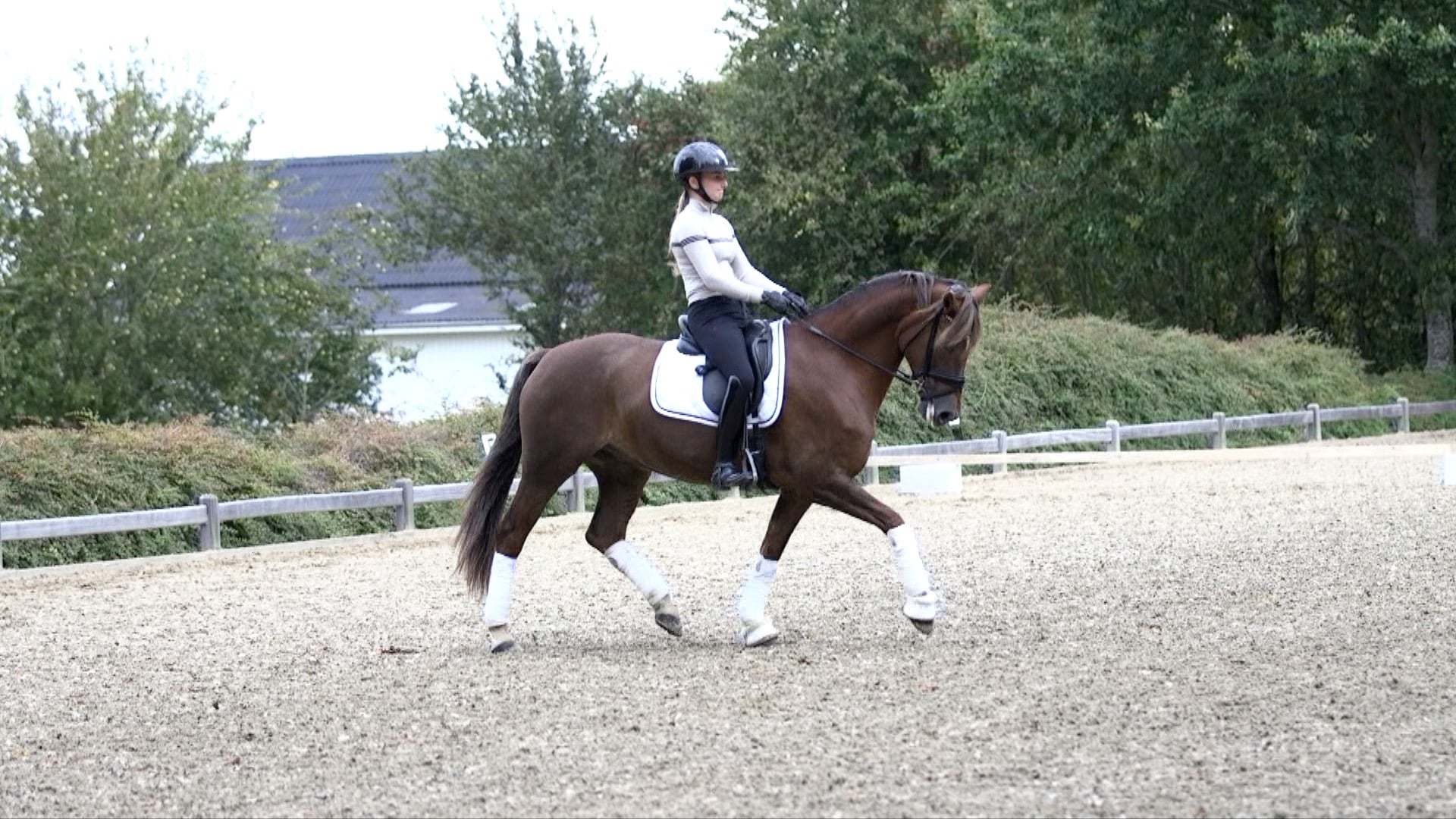 Pony test LB3 - Ride Better TV